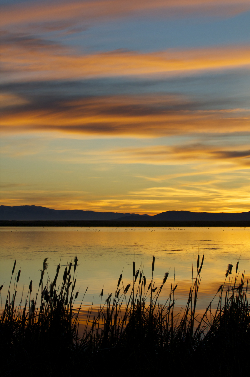 The Flying Baileys: Farmington Bay at Sunset