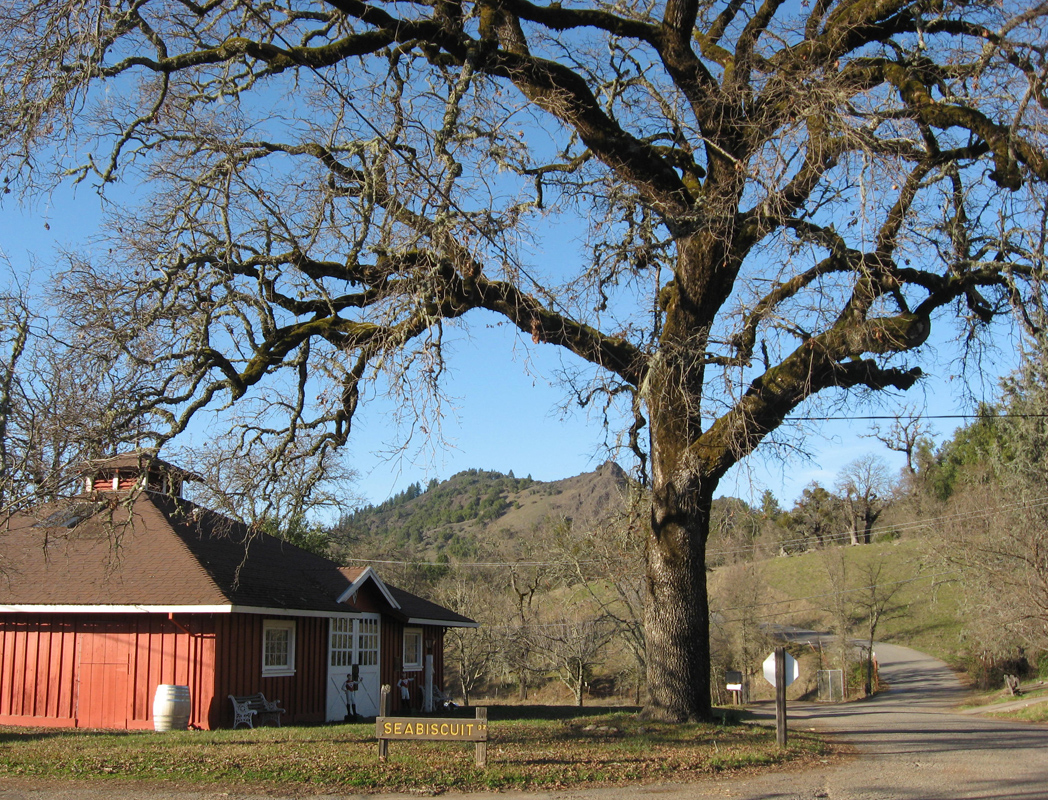 Willits Photo Overflow: Ridgewood Ranch, Home of Seabiscuit
