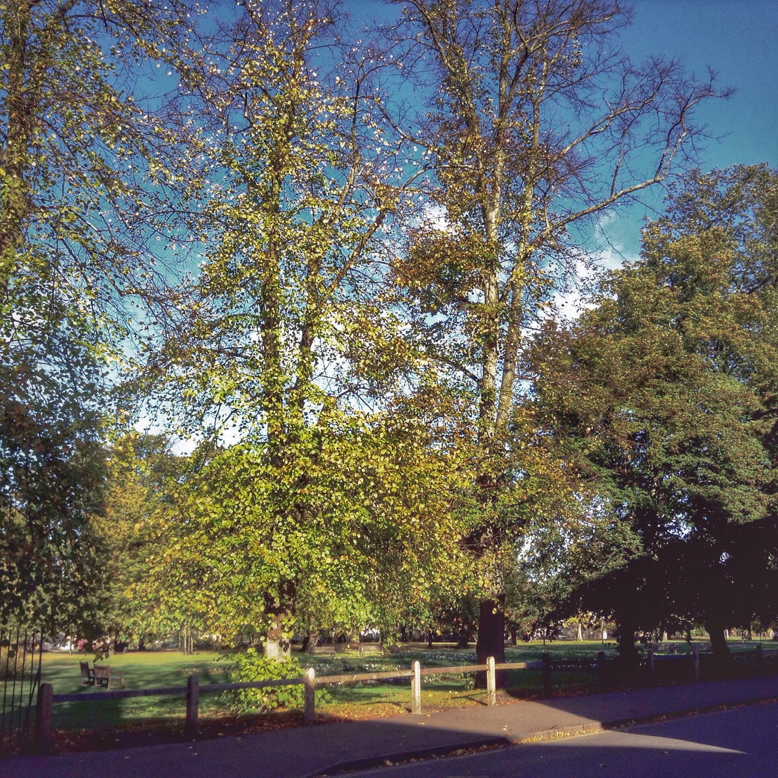 The Sacred Depths of Nature — Ursula Goodenough's religious naturalist ...