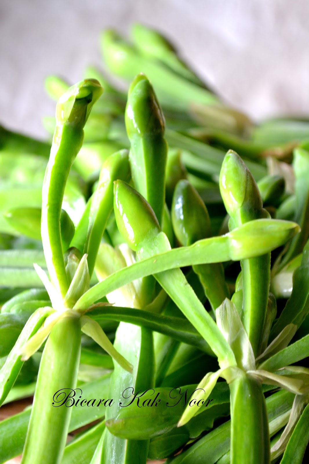 Paku Rawan // Genjer Sayur Atau Ulam Yang Sangat Nostalgia - Dapur Kak Noor
