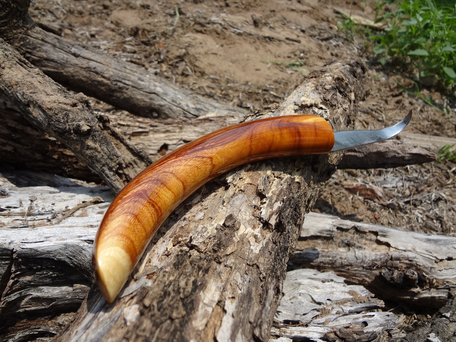 Woods Roamer: May 2013