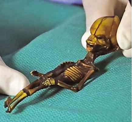 Unsolved Mystery of Atacama Skeleton - Unsolved Mysteries In The World