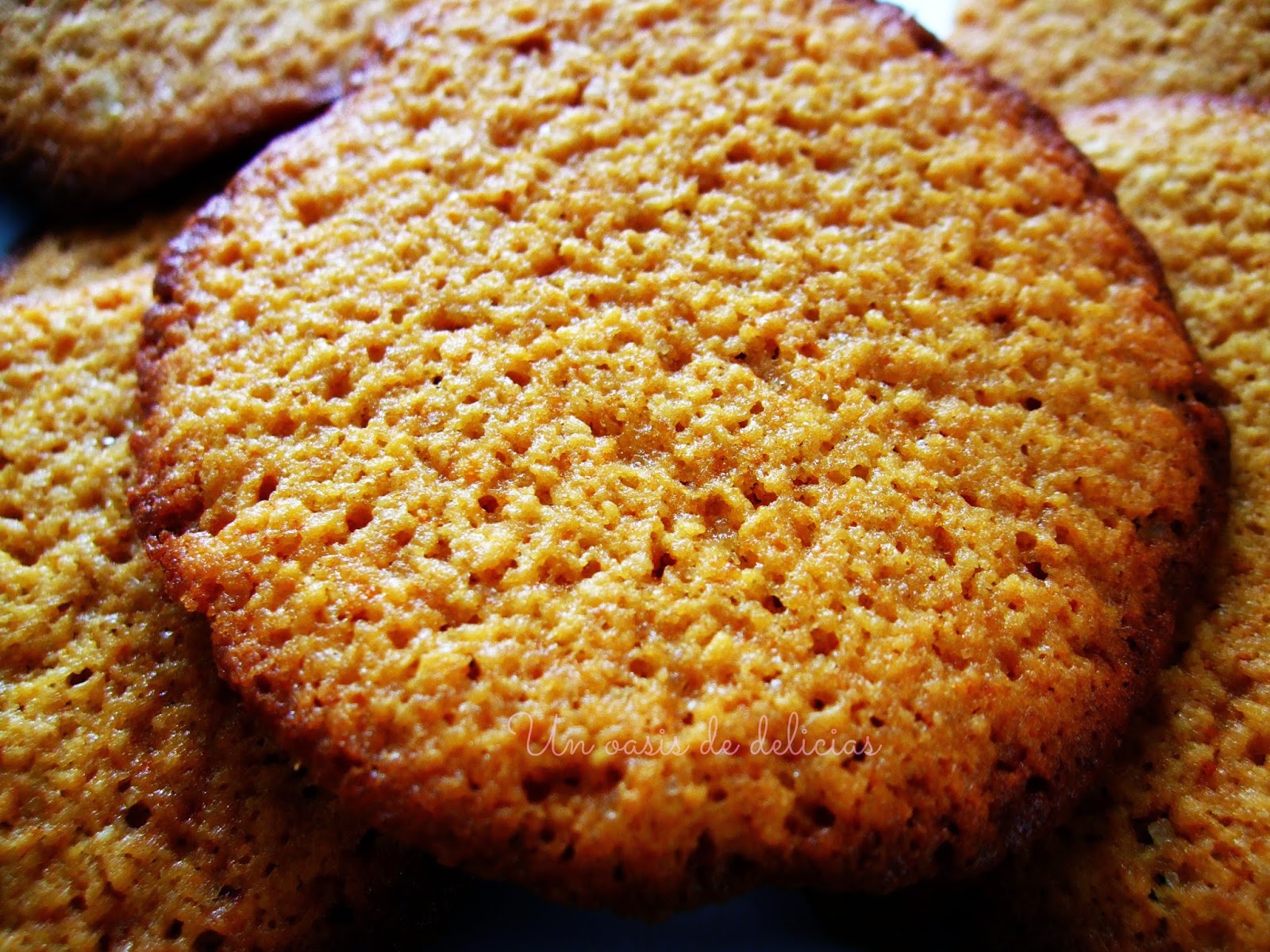 Un oasis de delicias: Galletas de caramelo de mantequilla salada