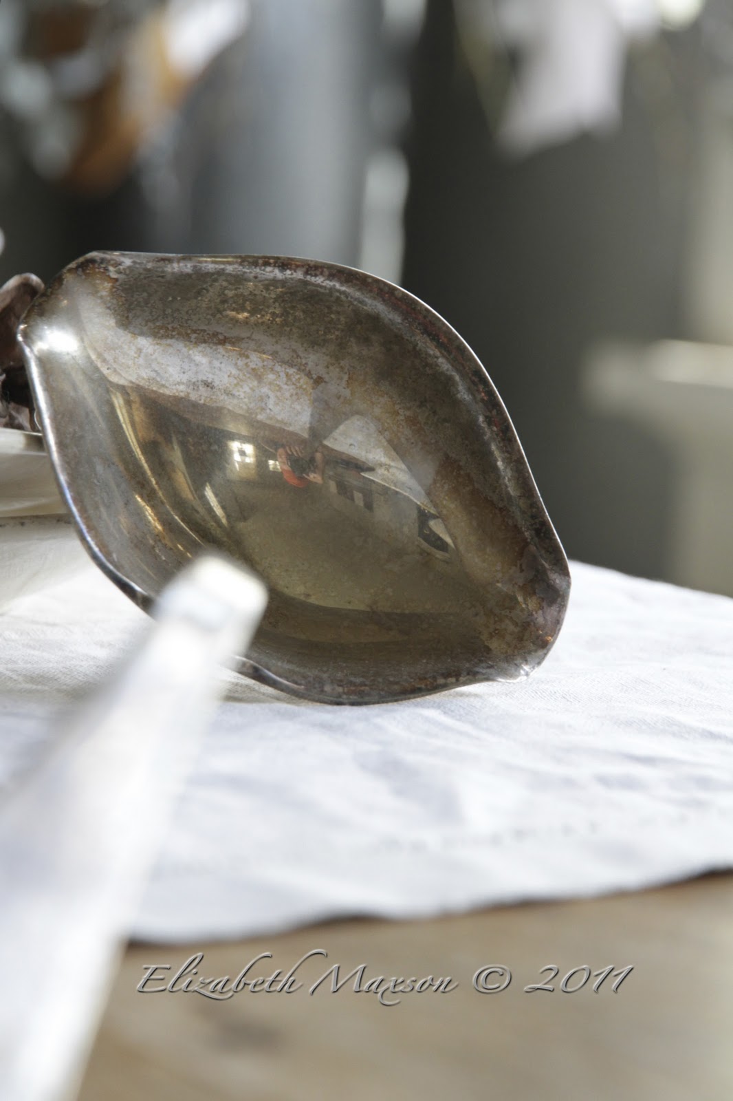 The Adventures of Elizabeth: Ladles of Love