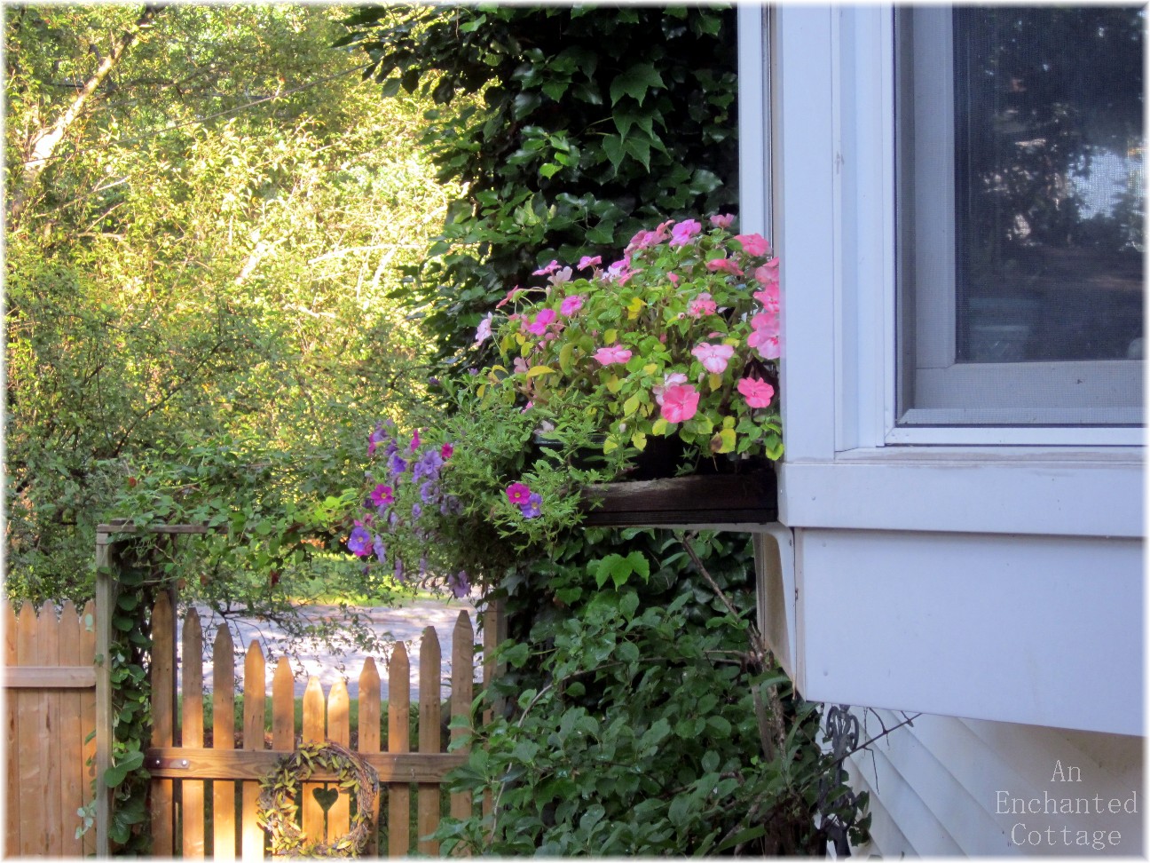 An Enchanted Cottage: The makeshift window box...