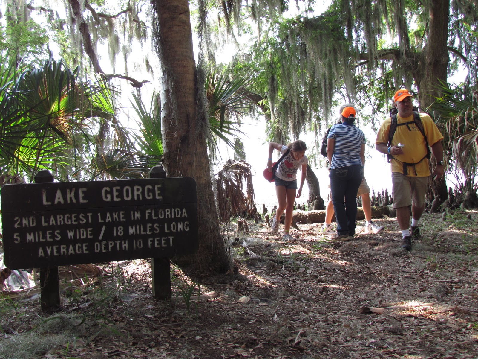 WildWildernessWalkers: Silver Glenn Springs