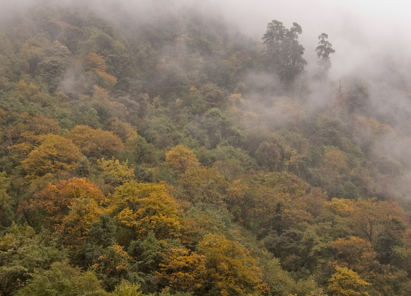 Natural Resources In Nepal: Macro-economic