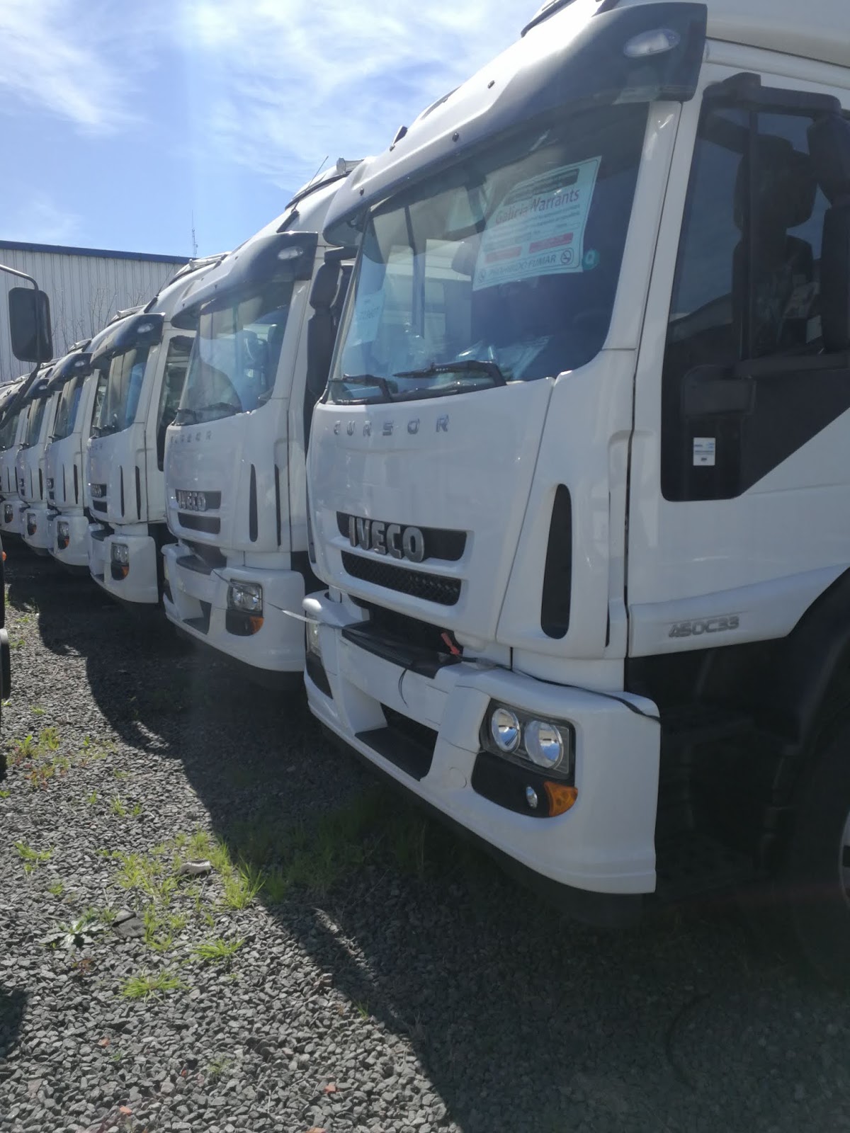 DIECIOCHO RUEDAS: IVECO LÍDER DEL MERCADO DE CAMIONES DE MAS DE 16 TN ...