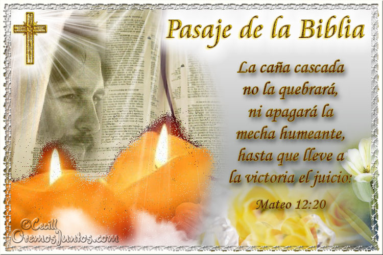 Vidas Santas: Santo Evangelio según san Mateo 12:20