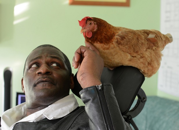 dalxasofe.blogspot.com