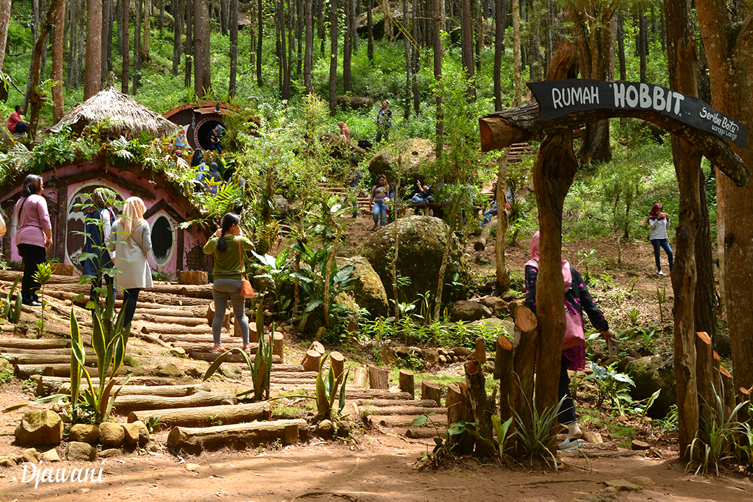 PESONA HUTAN PINUS SERIBU BATU SONGGO LANGIT BANTUL