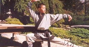 Arte martiale - Martial arts - 格闘技: Calugarii shaolin