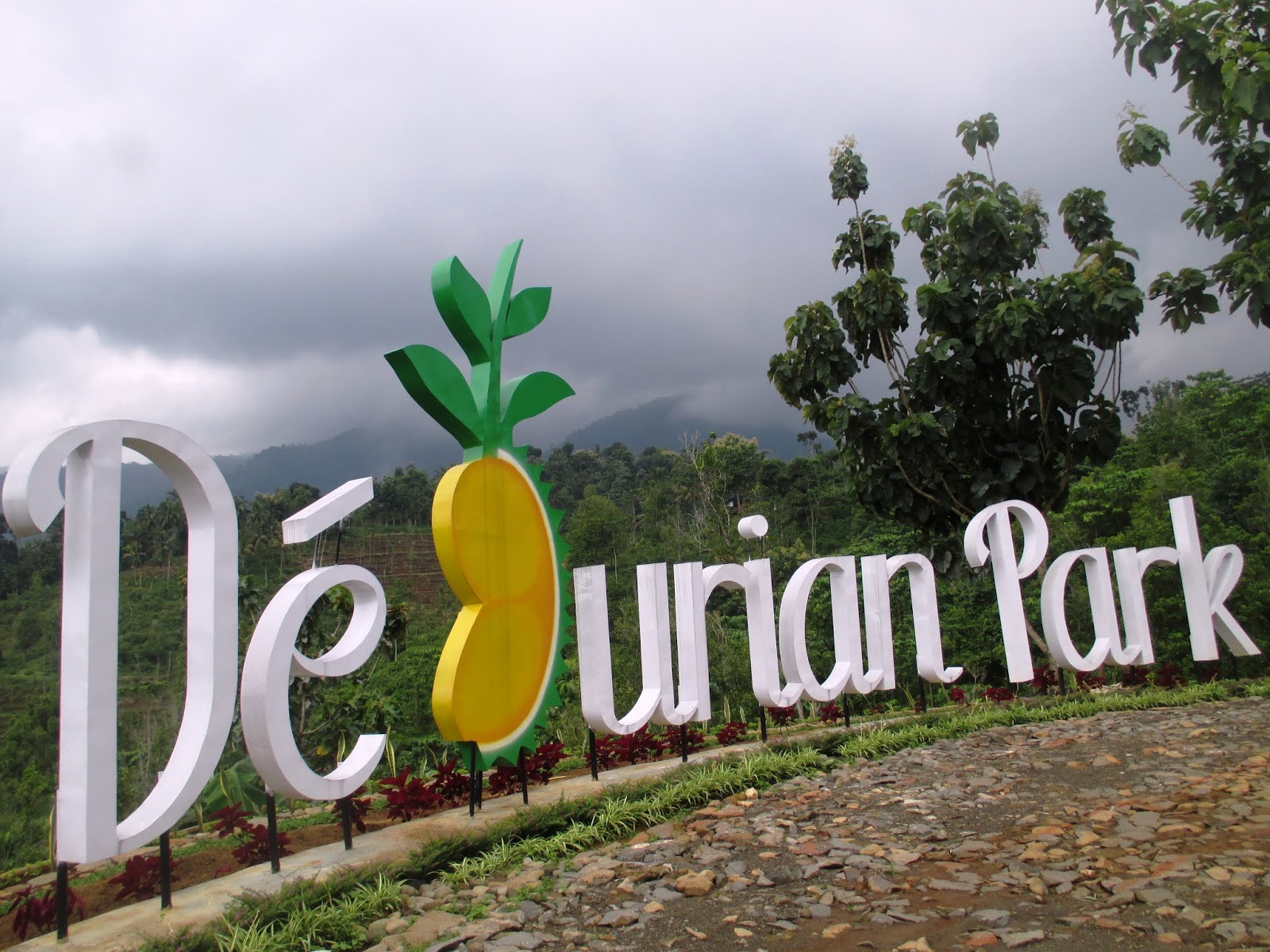jombang city guide: De Durian Park : Wujud Nyata Wisata Kebun Durian Wonosalam