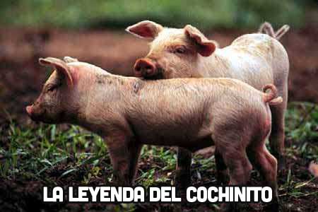 LEYENDAS VERDADERAS: LA LEYENDA DEL COCHINITO