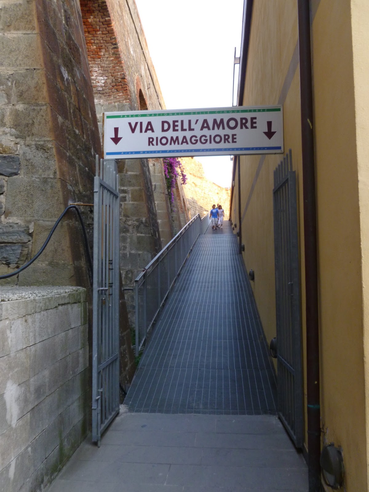 Wandering Voyager: Traveling to Cinque Terre by Train