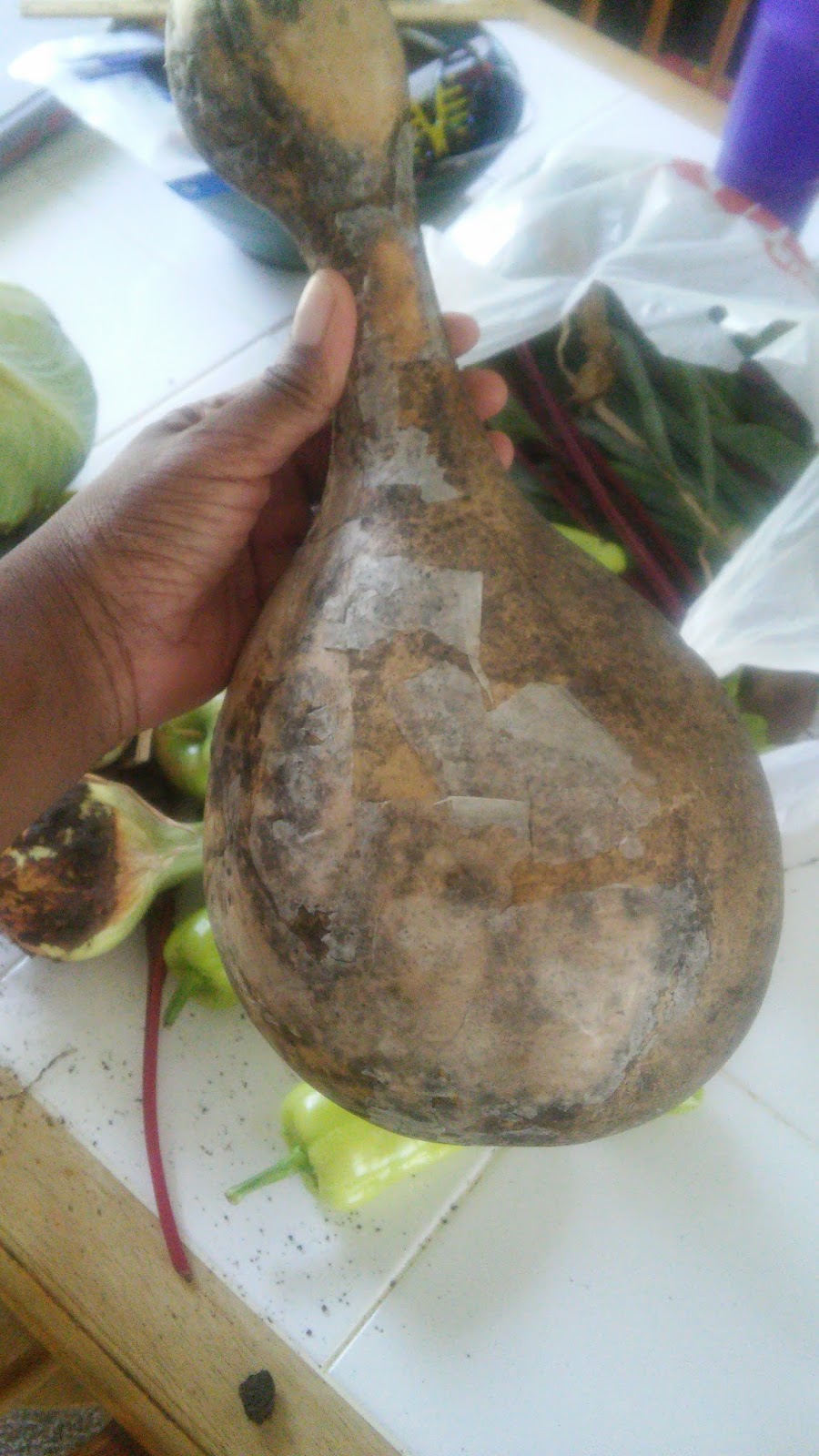 Sunni's Holistic Delights: July 2017