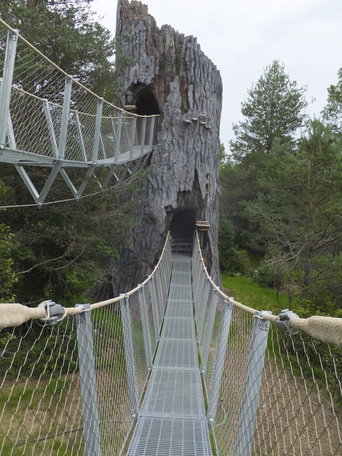 Merry@Syracuse: Wild Walk at Wild Center in Tupper Lake