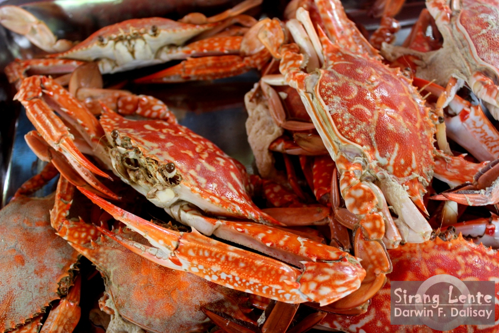 SIRANG LENTE: 2020 BEST DISHES IN BICOL (MUST TRIED)