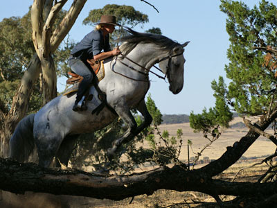 Health & Life at the Rough String: McLeod's Daughters~A Review