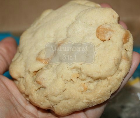 Sweet Andy's Cookies - The "Thank You Cookie" - Review - Outnumbered 3 to 1
