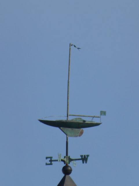 Nutfield Genealogy: Weathervane Wednesday ~ Two boats by the sea