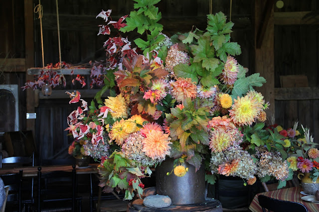 bonesoflife: Hurd Orchard, Holley, NY ... pure joy!