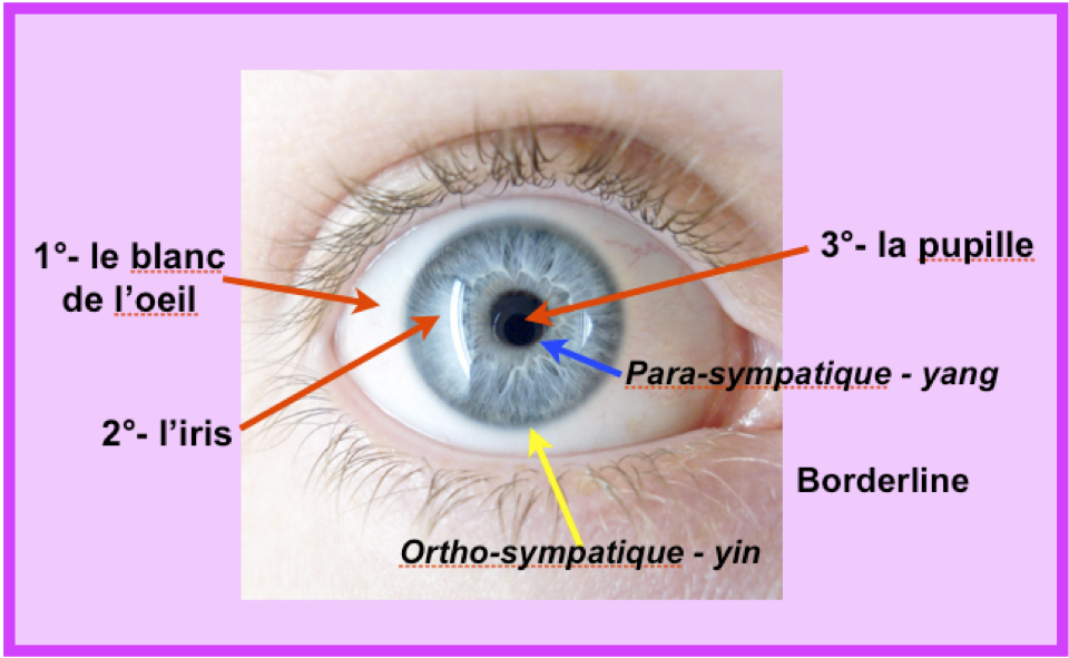 ALERTE VOTRE CORPS VOUS PARLE: N°4 -– LES OREILLES ET LES YEUX – LE ...