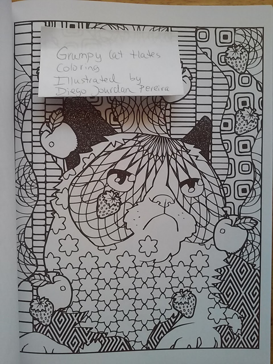 A Heep of Everything: Adult Coloring Book Review: Grumpy Cat Hates Coloring