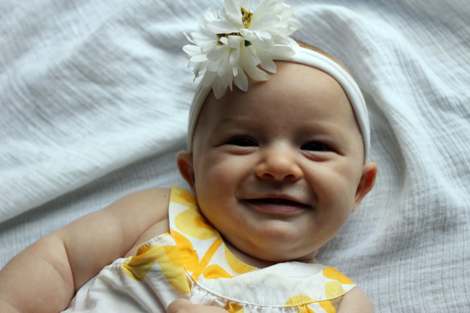 Lu Bird Baby: August 2011