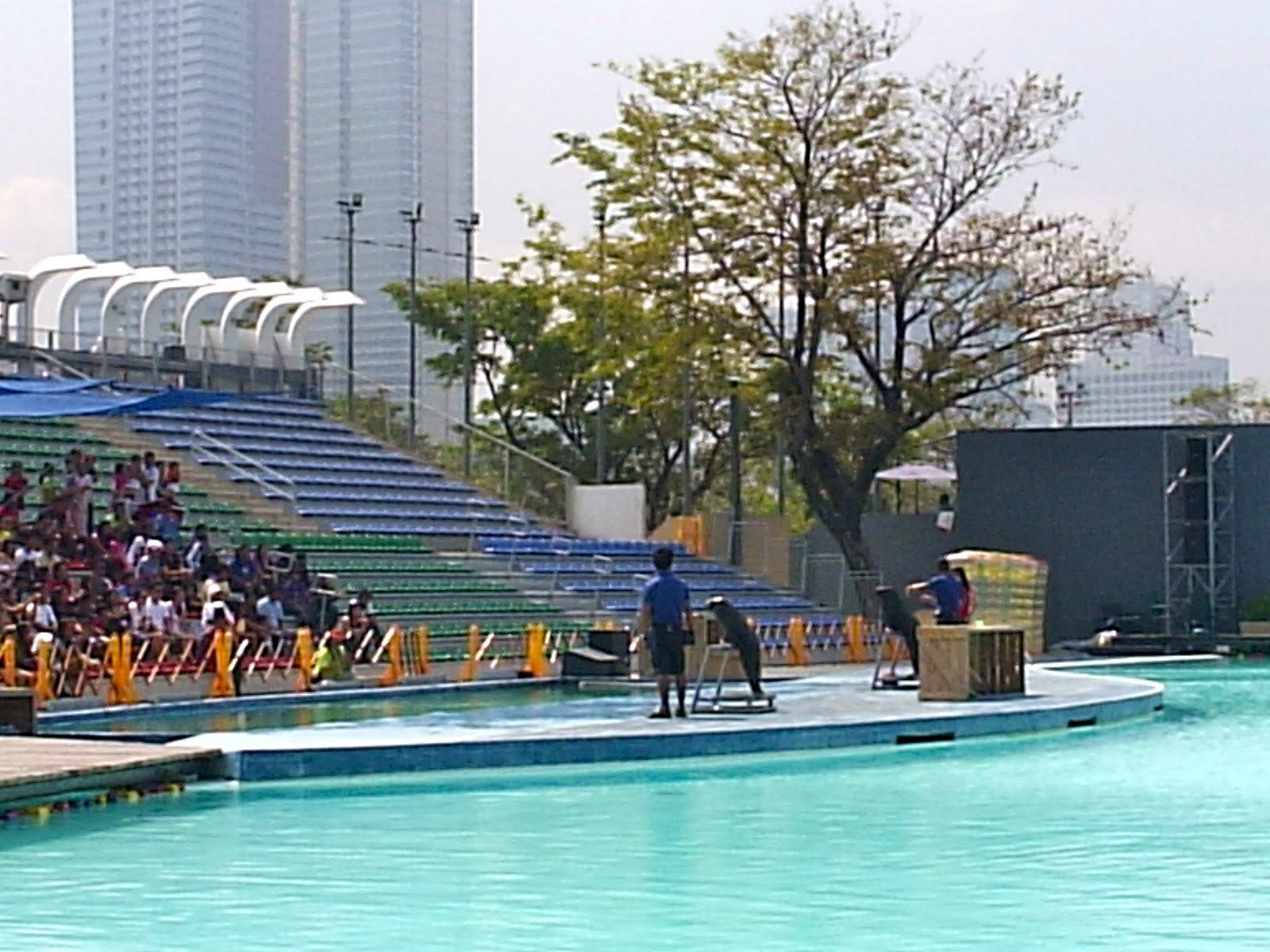 Purple Plum Fairy: A day of Bonding @ Manila Ocean Park's Swimming and ...