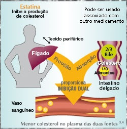 .: O que são Estatinas?