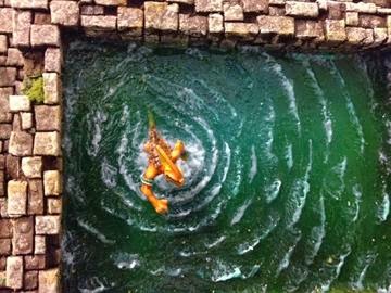 Terrain Wench Productions: Lizardmen Temple & Spawning Pool