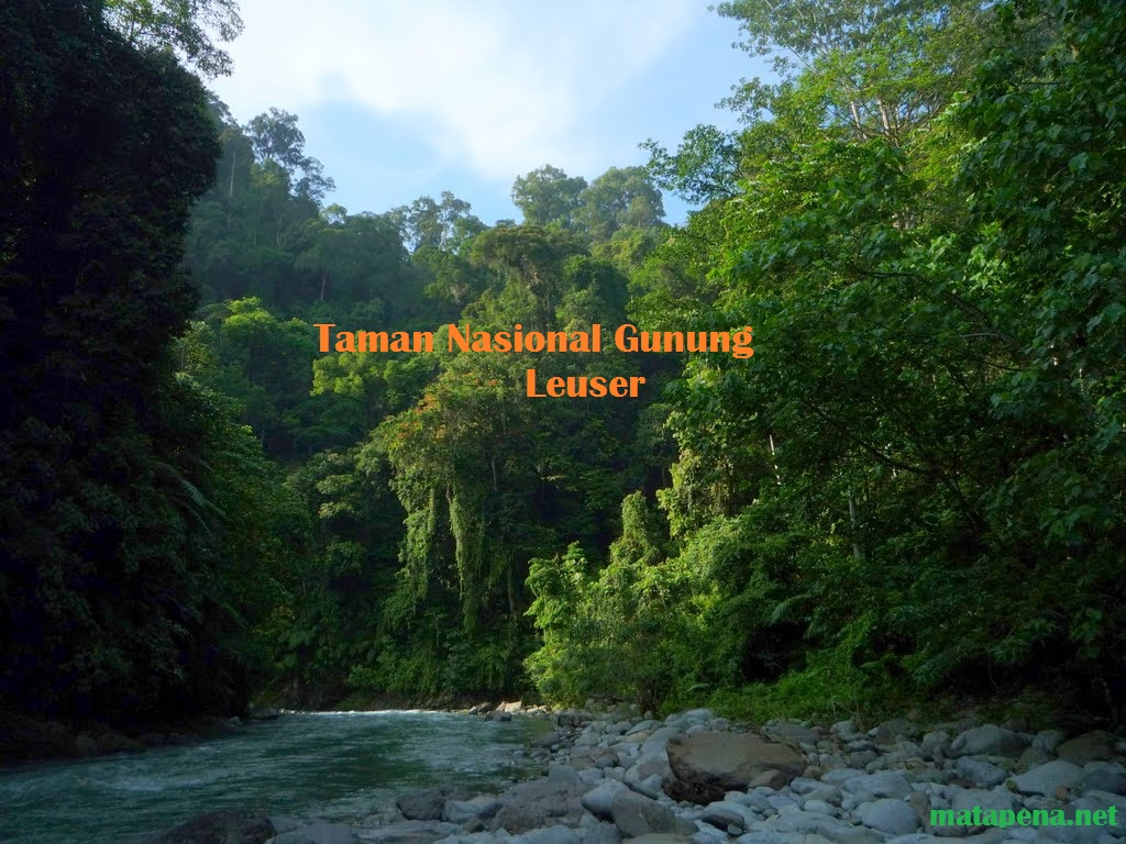 Taman Nasional Gunung Leuser