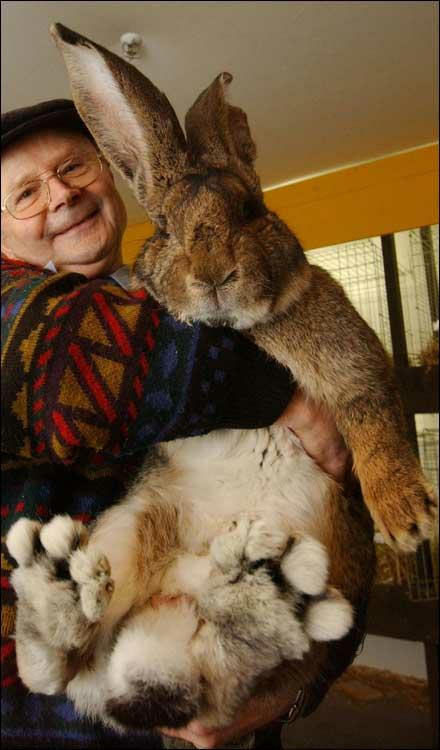 Speak of the Devil: The Night Of The Rampaging Easter Bunnies