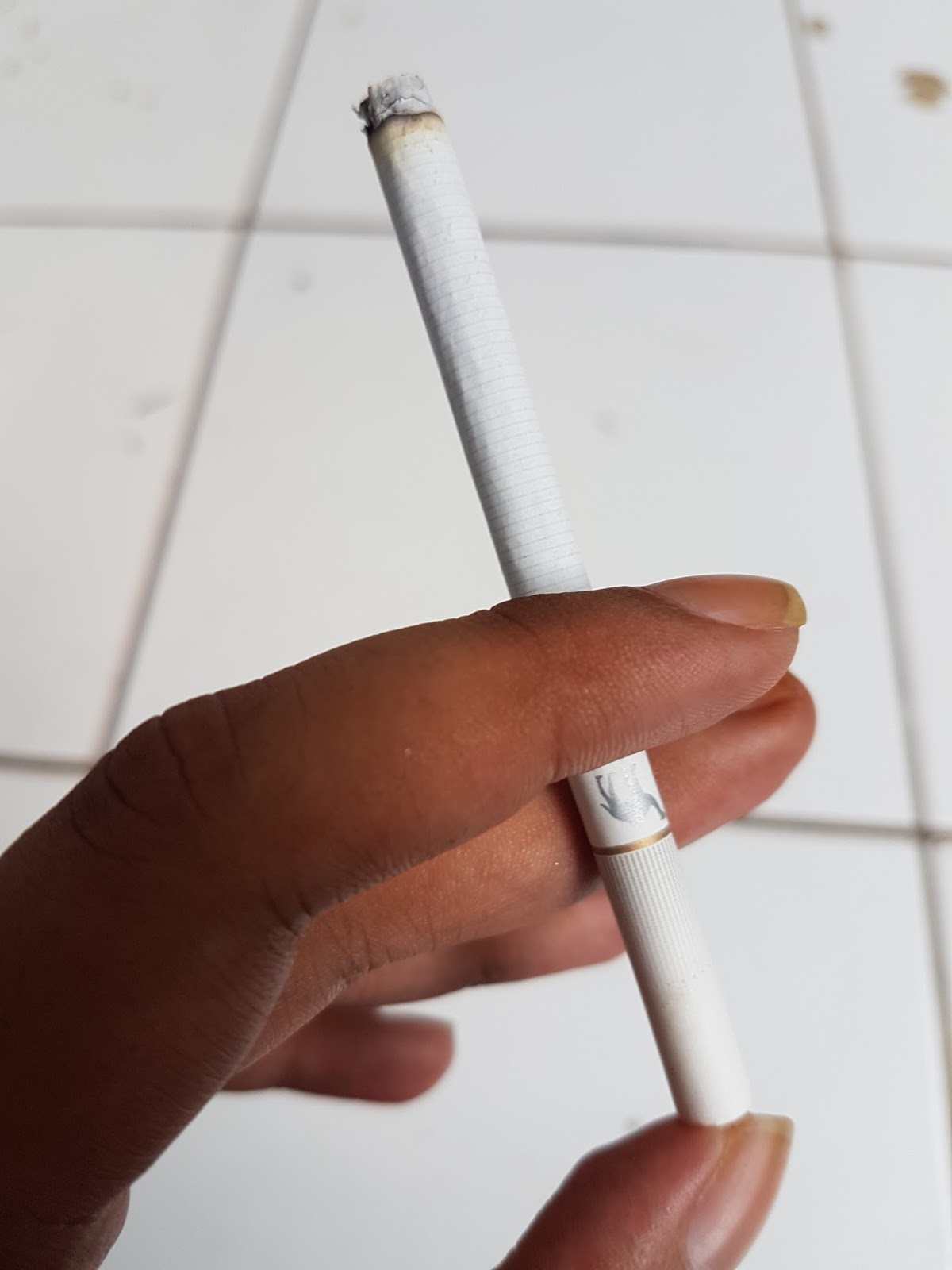 Camel Mild, Produk SKM LTLN Pertama di Dunia dari Japan Tobacco ...