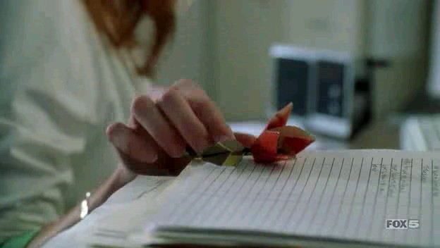 AppianLife: Michael Scofield's Origami Creations!