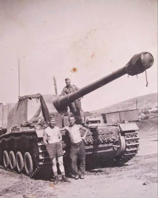 12,8 cm Selbstfahrlafette auf VK3001(H) Sturer Emil ~ Military of Art