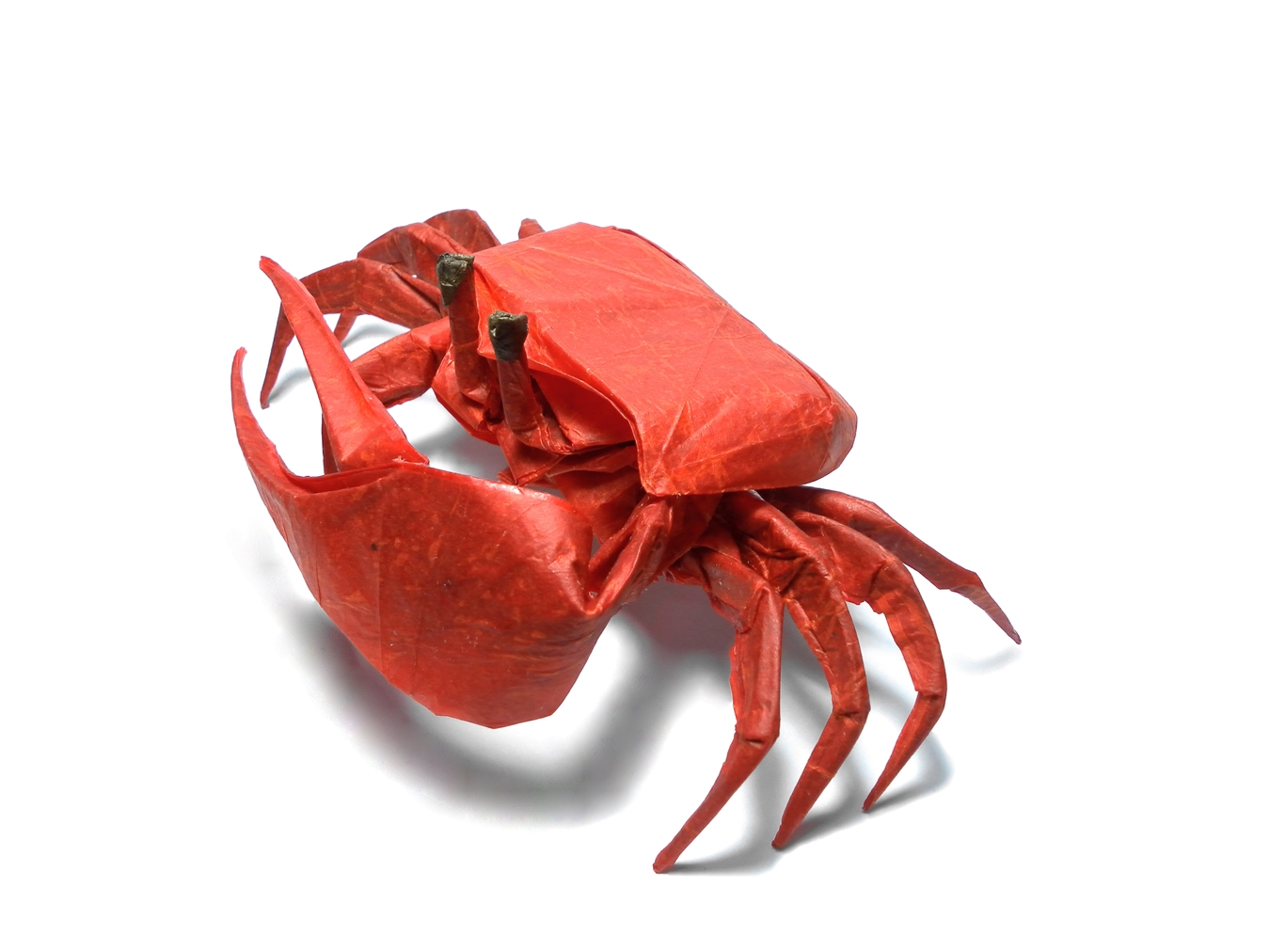 Mariano-Mi mundo el Origami: Fiddler Crab