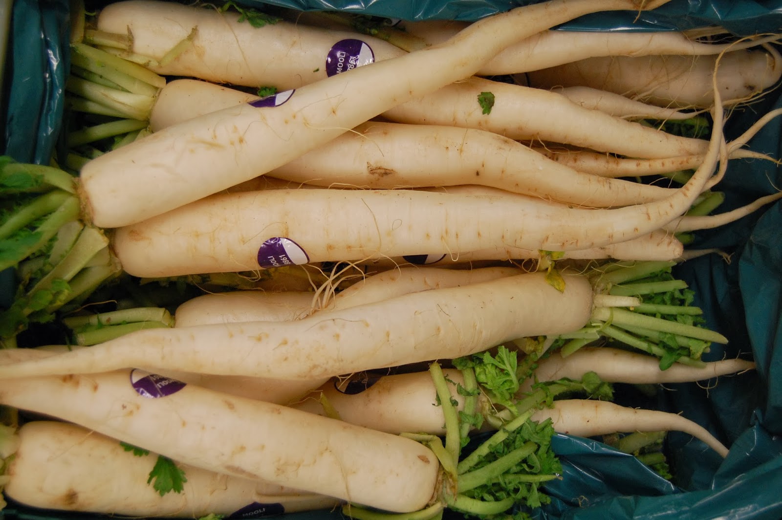 mugofstrongtea : Just what are those dudhi and mooli veg in my ...