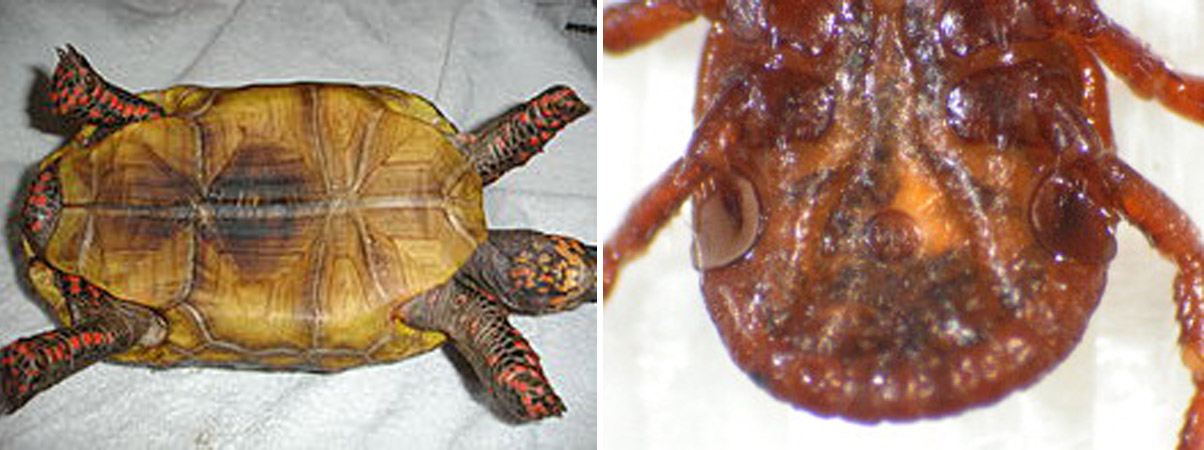 As Many Exceptions As Rules: It’s An Airtight Case