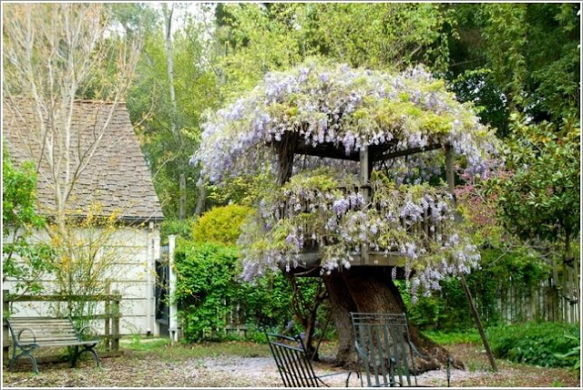 10 Absolutely Wonderful Tree Stump Landscaping and Decor Ideas