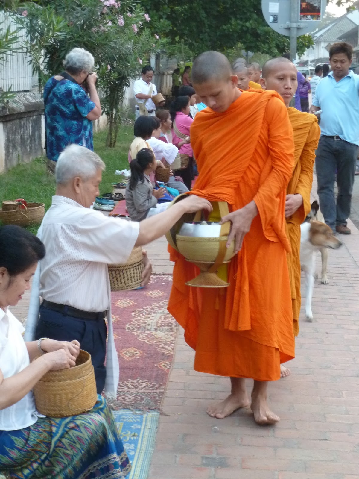 La Côte d'Azur: LES BONZES ...