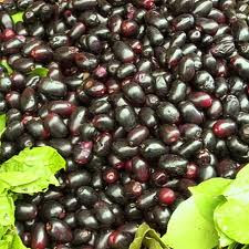 My Daily Food and More: Something You Need To Know About Duhat