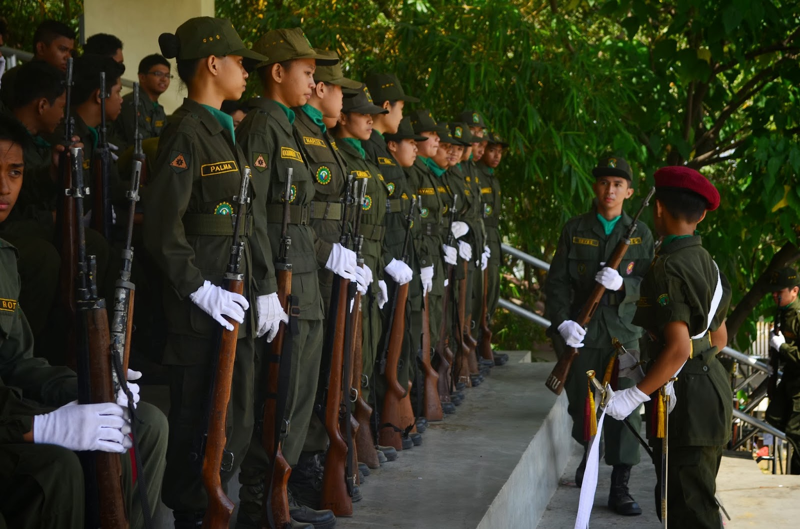 Gabby In Wonderland: Regional Annual Achievement Tactical Inspection ...