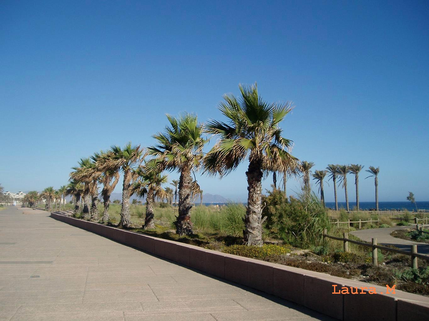 Así me gusta el mundo: RETAMAR. EL TOYO.