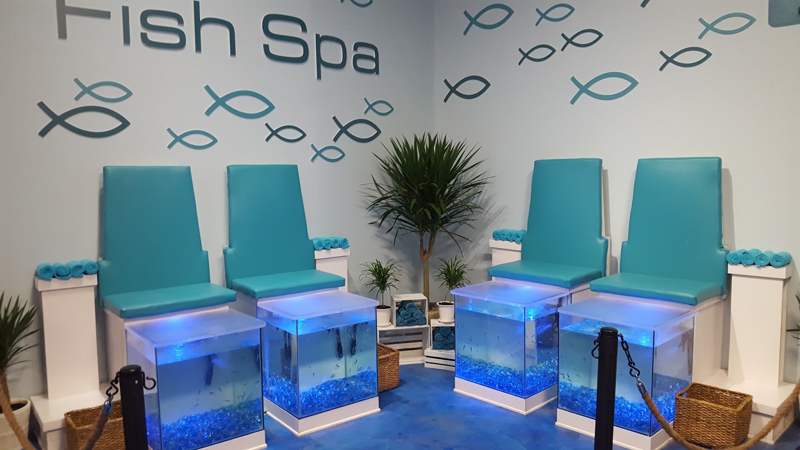 A Local Wander: Get Hands-On at the Seaquest Interactive Aquarium