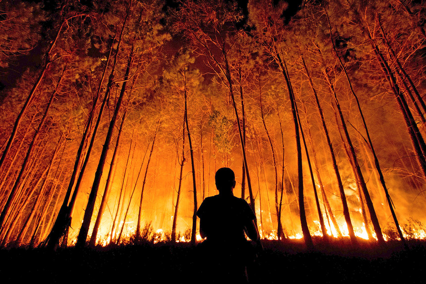 todas as cores da vida: Côr de fogo