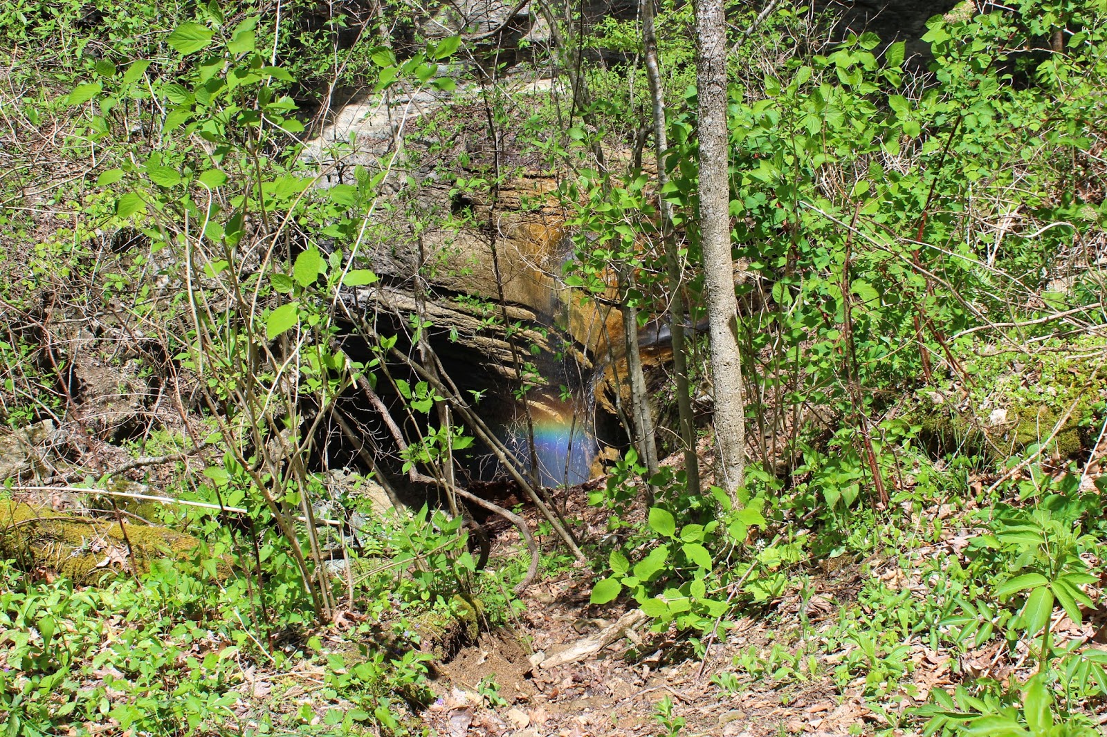 Cumberland Gal: Jamestown Camping Trip--Day 2--Pickett State Forest and ...