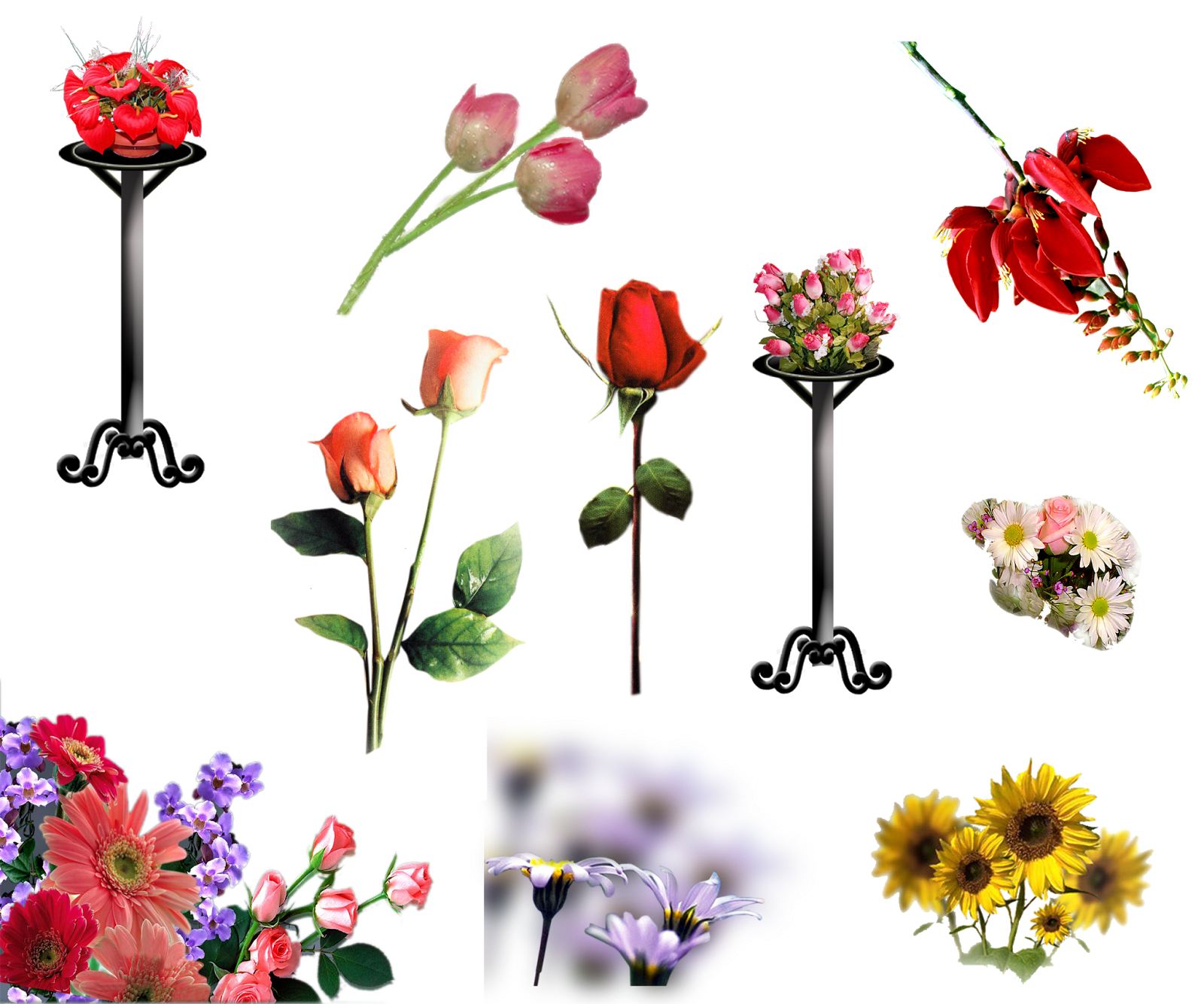 ALL PSD FOR PHOTOSHOP : 2017