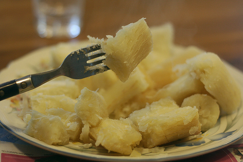 Uma Química Irresistível: Mandioca - um exemplo de como se transformou ...